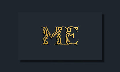 Initial letters me monogram logo design bundle Vector Image