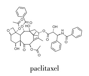 Nucleic acids nitrogenous bases molecule formulas Vector Image