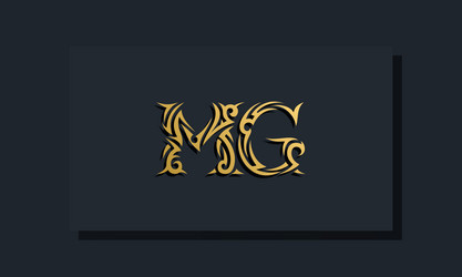 Decorative vintage initial letters mg monogram Vector Image