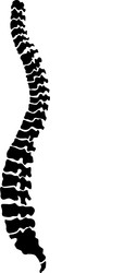 Spinal injury icon isolated Royalty Free Vector Image