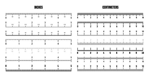 Parts of ruler scale inch divided into fractions Vector Image