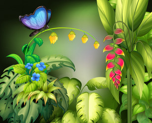 Cartoon Butterfly and Flower Vector Images (over 13,000)