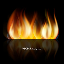 Realistic burning fire flame bright element Vector Image