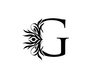Elegant letter g graceful royal style Royalty Free Vector