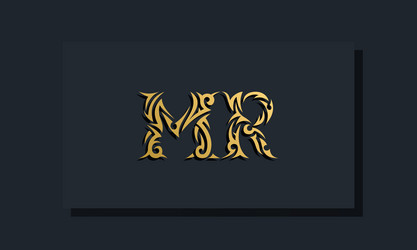 Initial letters mr monogram logo design bundle Vector Image