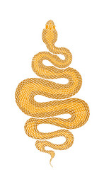 Coiled Snake Vector Images (over 1,500)