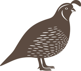 Quail Vector Images (over 1,700)