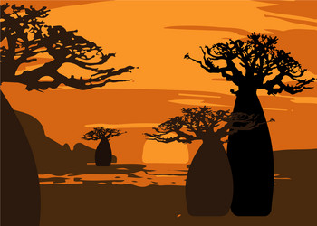 Baobab Tree Vector Images (over 2,000)