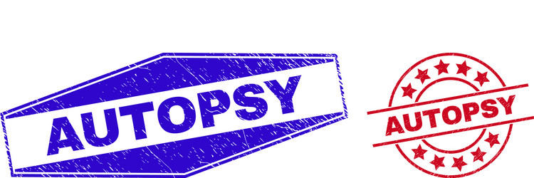 Autopsy Vector Images (over 1,100)