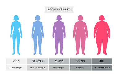 Bmi for women body mass index chart based Vector Image