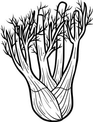 Coloring book fennel Royalty Free Vector Image