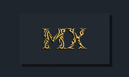 Initial letters mx monogram logo design bundle Vector Image