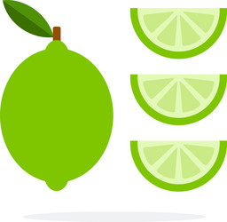 Lime Wedge Vector Images (over 570)