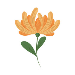 Yellow flowers icon Royalty Free Vector Image - VectorStock