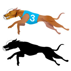 Greyhound Vector Images (over 1,500)