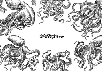 Sea Creatures Etching Vector Images (over 570)