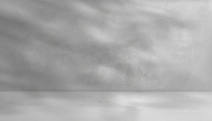 Light Grey Paint Texture