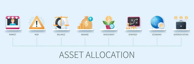 Asset Allocation Infographics In Minimal Flat Vector Image