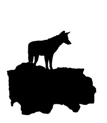 Jackal Vector Images (over 830)