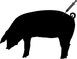 Pig Royalty Free Vector Image - VectorStock