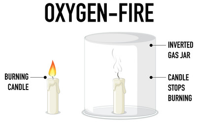 Oxygen and fire science experiment Royalty Free Vector Image