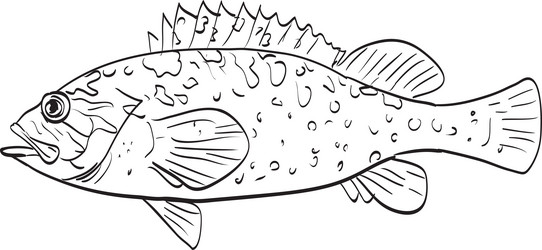 China rockfish line drawing cartoon Royalty Free Vector