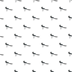 Magpie Vector Images (over 1,200)