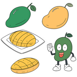 Set yoyo Royalty Free Vector Image - VectorStock