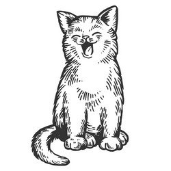 Engraving Cat Vector Images (over 1,600)