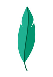 Green feather icon Royalty Free Vector Image - VectorStock