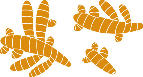 Turmeric Vector Images (over 2,500)
