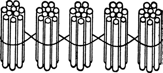 Bundle Sticks Vector Images (over 1,300)