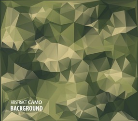Polygon Camouflage Camo Vector Images (over 810)