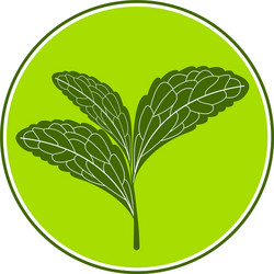 Stevia Logo Vector Images (over 180)