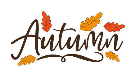 One line drawing of autumn leaves Royalty Free Vector Image