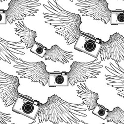 Graphic vintage camera with wings Royalty Free Vector Image