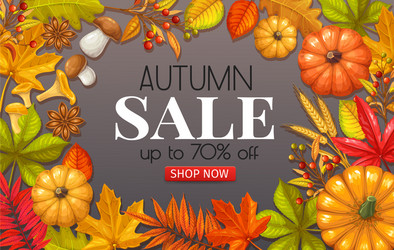 Seasonal fall banner Royalty Free Vector Image
