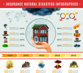 Natural disasters infographics natural disasters Vector Image