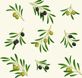 Olive branch Royalty Free Vector Image - VectorStock