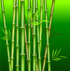 Palm tree over bamboo forest Royalty Free Vector Image
