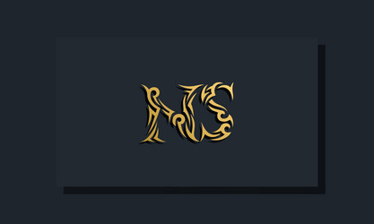 Initial letters ns monogram logo design bundle Vector Image