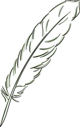 Feather clip art cartoon Royalty Free Vector Image