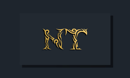 Minimal line art letters nt signature logo Vector Image