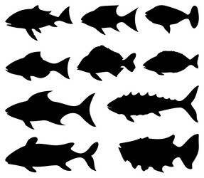 Fish outlines Royalty Free Vector Image - VectorStock