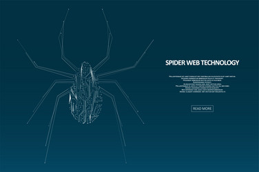 Spider hacker attack danger Royalty Free Vector Image