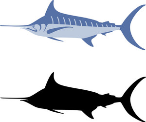 Billfish Vector Images (over 370)