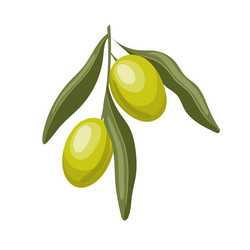 Olive Cartoon Vector Images (over 660,000)
