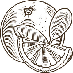 Orange Line Art Vector Images (over 410,000)