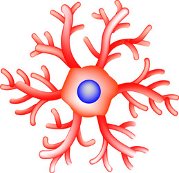 Astrocyte Vector Images (10)