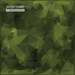 Army military camouflage background made Vector Image